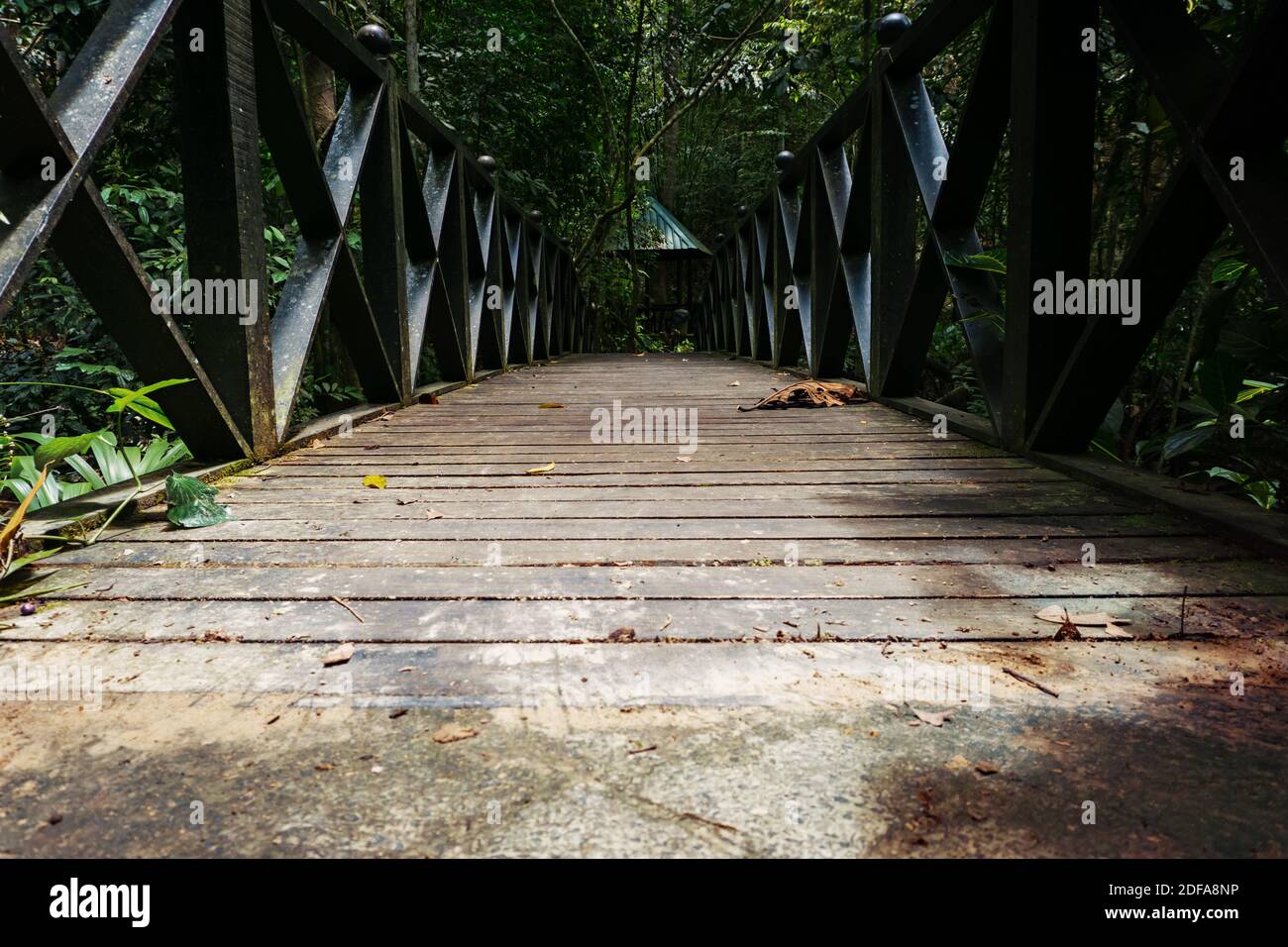 Diminishing perspective hi-res stock photography and images - Alamy