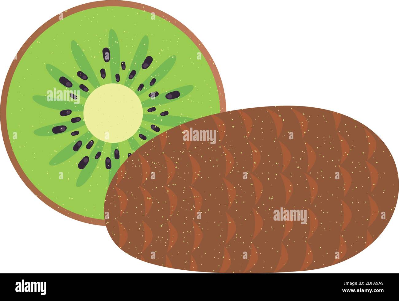 kiwi fruit design of healthy organic food theme Vector illustration ...