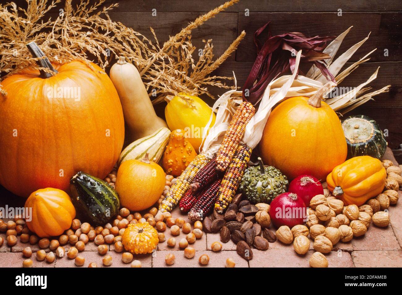 Fall harvest of PUMPKINS, GOURDS, ONIONS, SQUASH, INDIAN CORN & mixed ...
