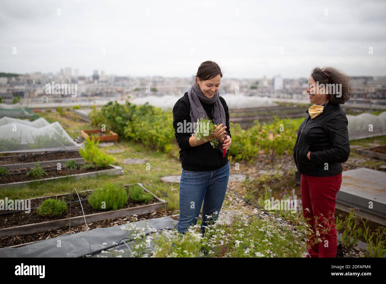 Agriculture urbaine paris hi-res stock photography and images - Alamy