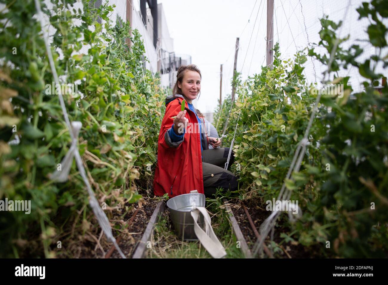 Agriculture urbaine paris hi-res stock photography and images - Alamy