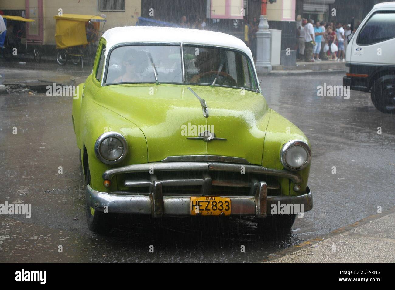 Cuban almendron hi-res stock photography and images - Alamy