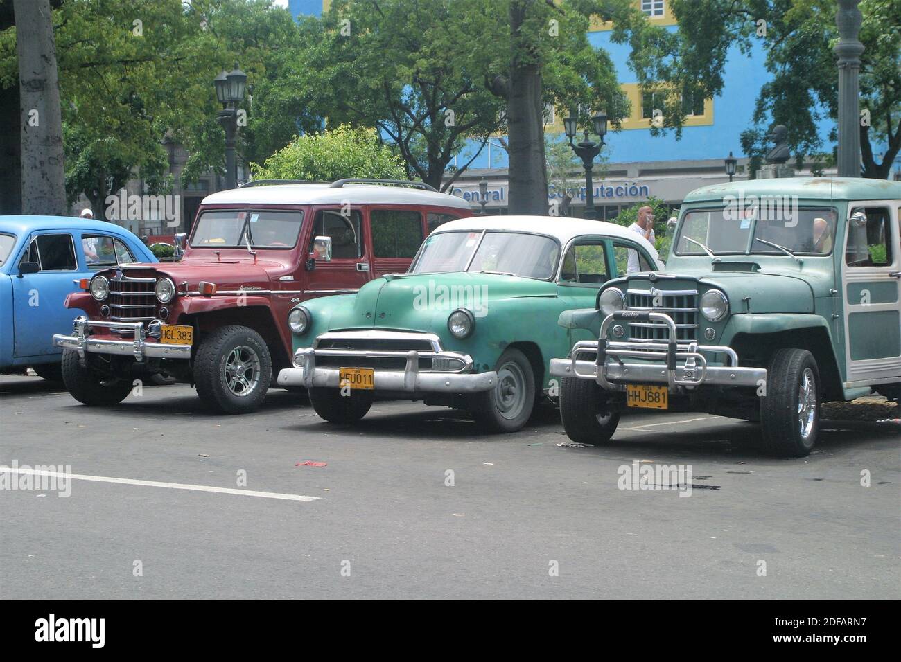 Cuban almendron hi-res stock photography and images - Alamy