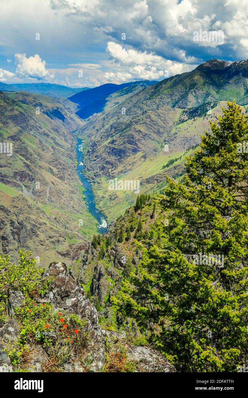 snake river in hells canyon viewed from barton heights along the oregon ...