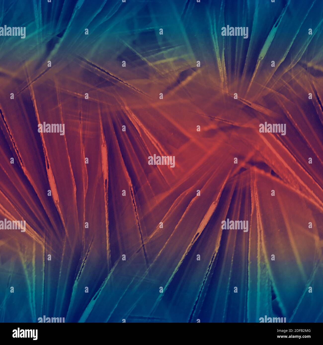 Tropical blue foliage on ombre sunset gradient Stock Photo - Alamy