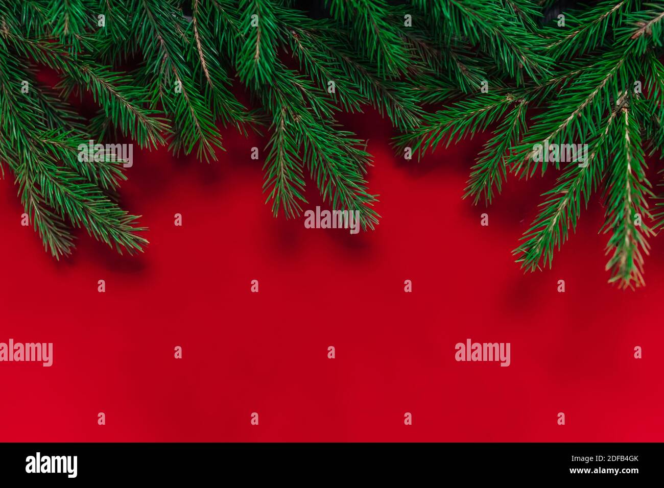 Christmas background. red background. Real tree. Background for text ...