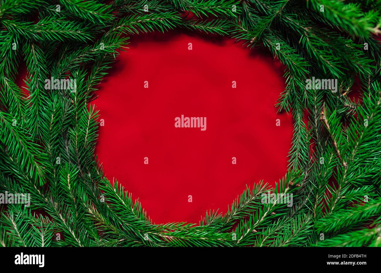 Christmas background. red background. Real tree. Background for text ...