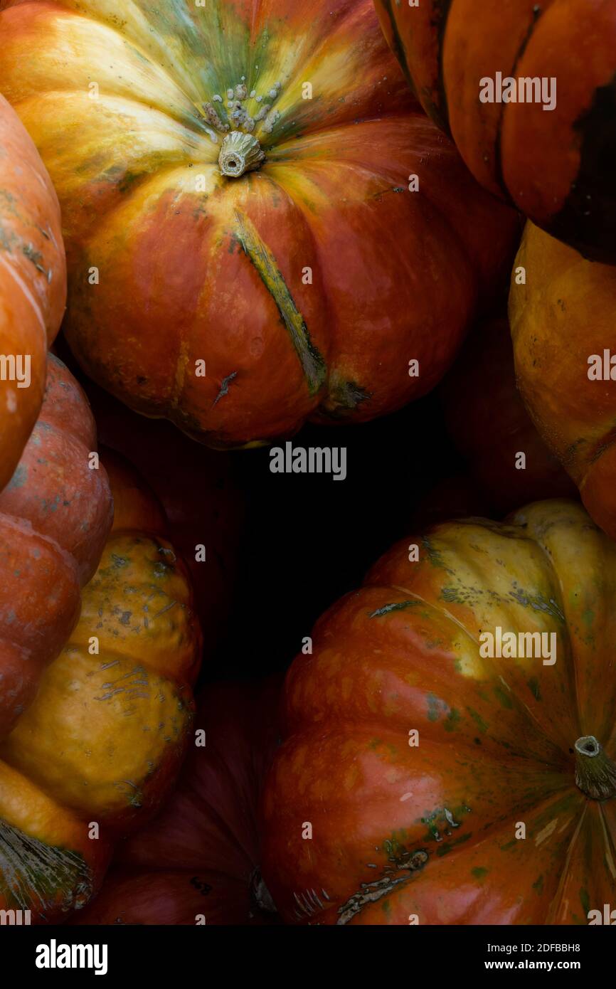 Bin of pumpkins hi-res stock photography and images - Alamy