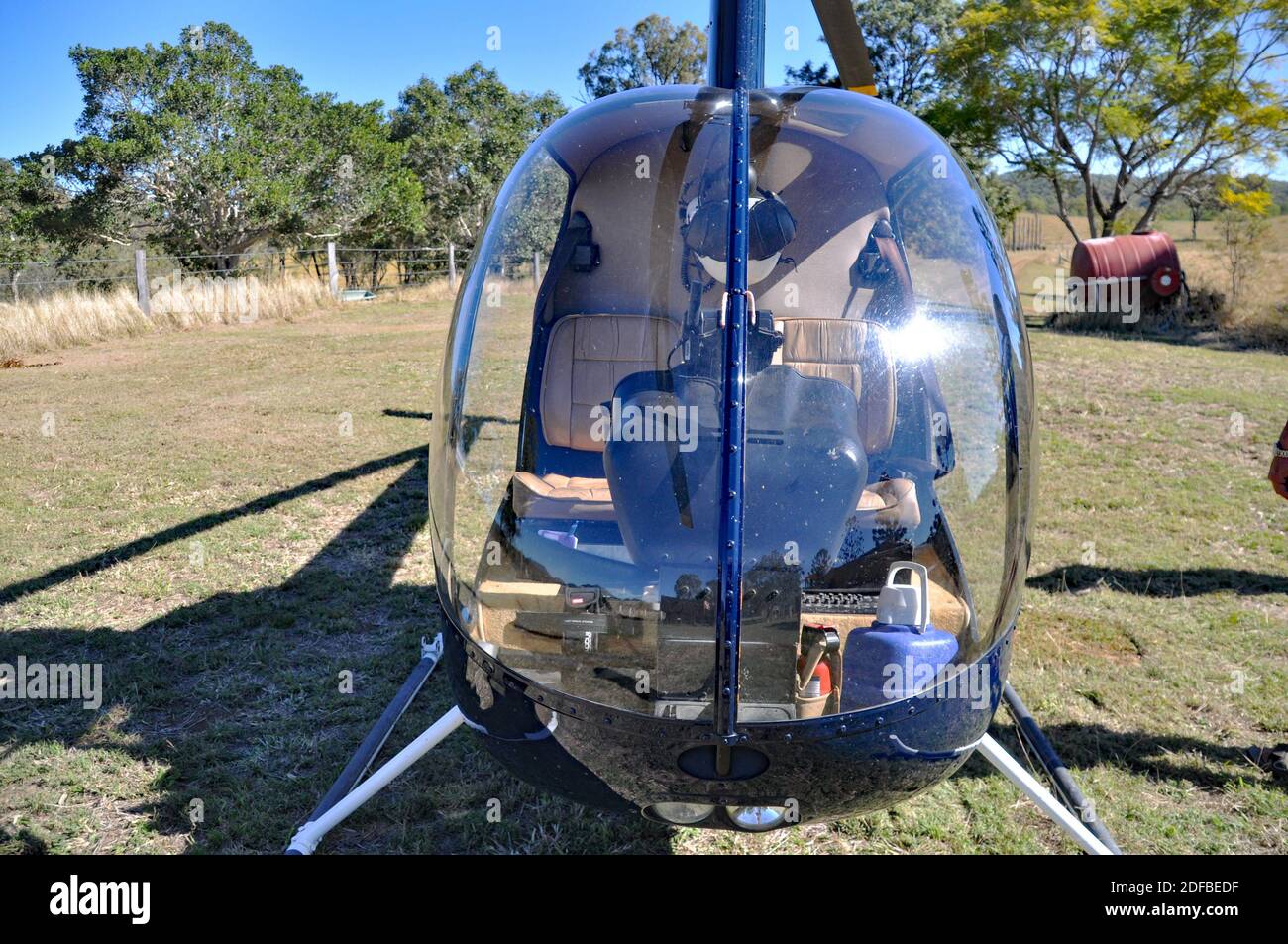 HELICOPTER MUSTERING CATTLE Stock Photo - Alamy