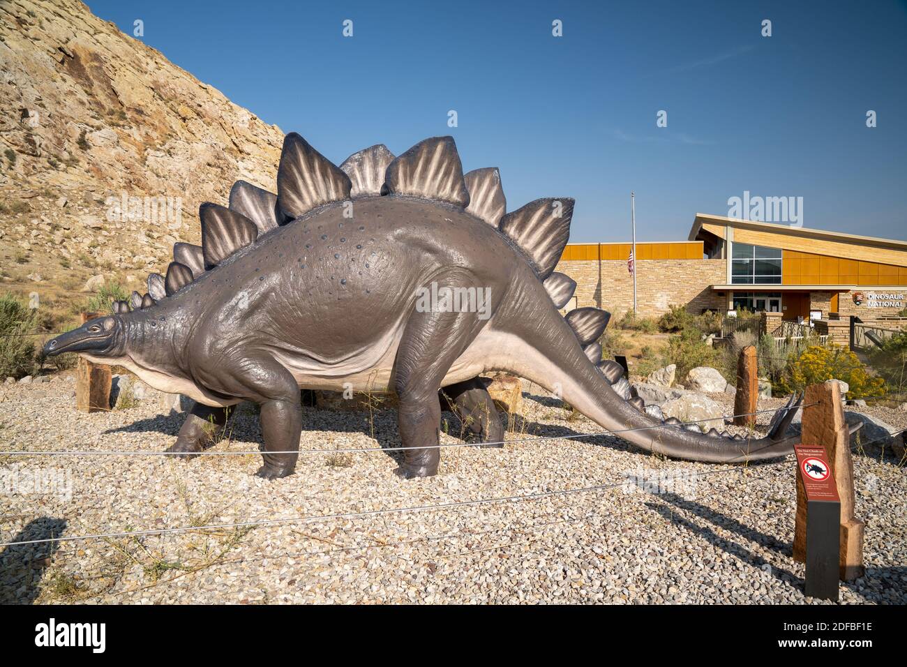 Stegosaurus fossil colorado hi-res stock photography and images - Alamy