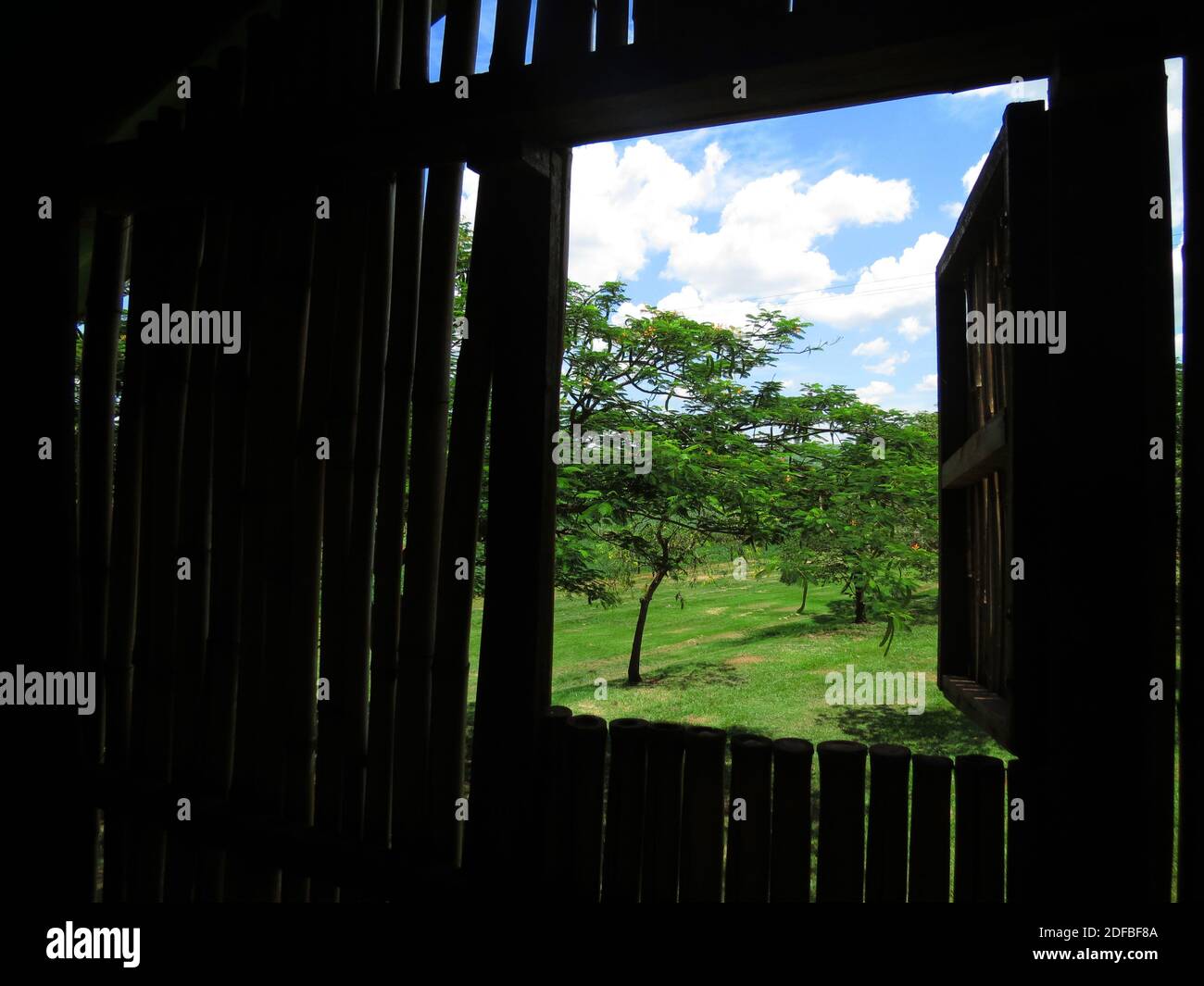 Inside of a treehouse with trees, green fields and blue sky view in a ...