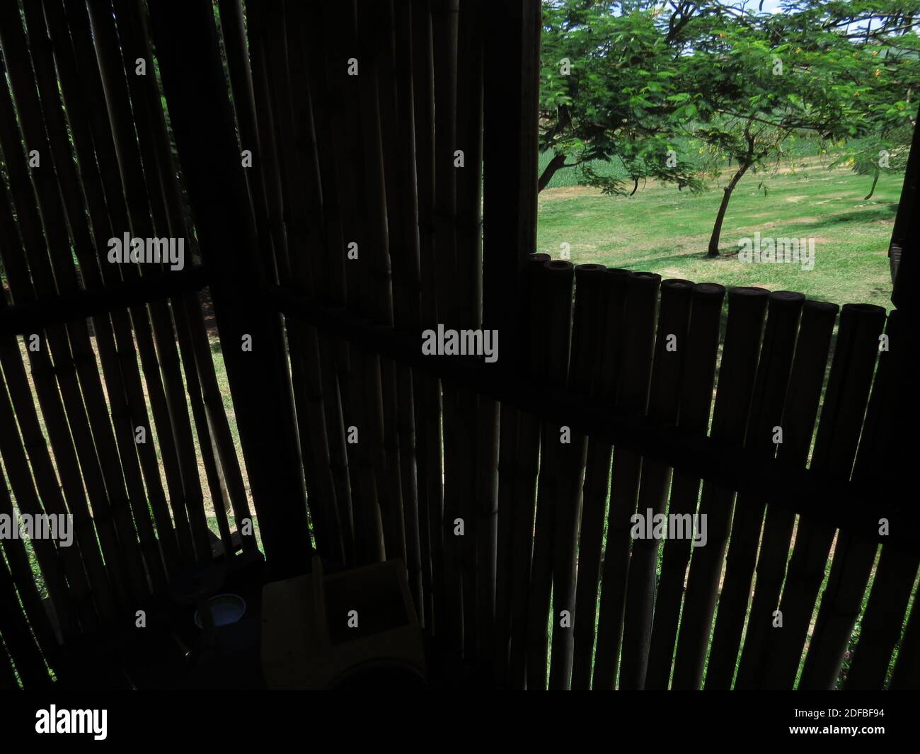 Inside of a treehouse with a view to trees, green fields, blue sky and ...