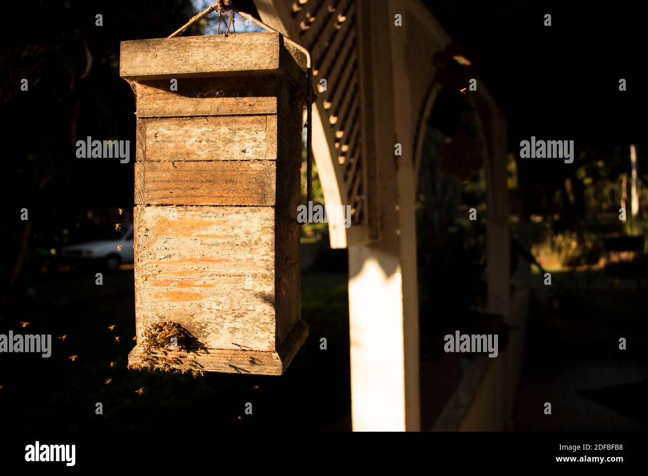 Wood case for honeycomb (that is inside it) with a lot of bees flying ...