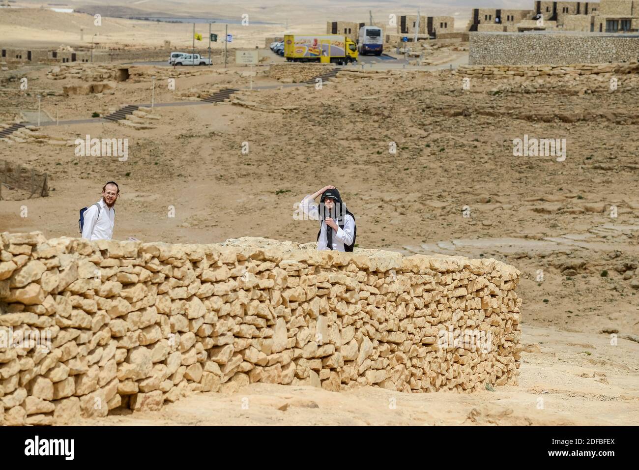 Modern plants hi-res stock photography and images - Alamy