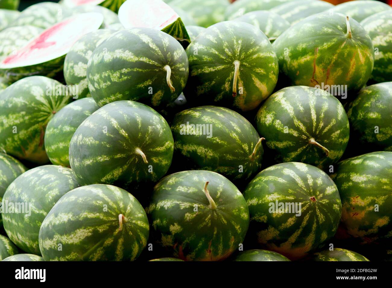 Watermelons on display at the farmer's market. Fresh and healthy eating ...