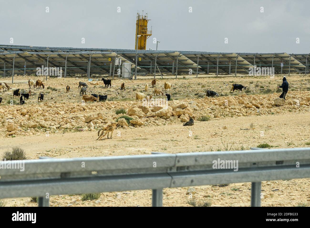 Israel. April 16, 2015. Desert view. Nomads and the road. Tourist view ...