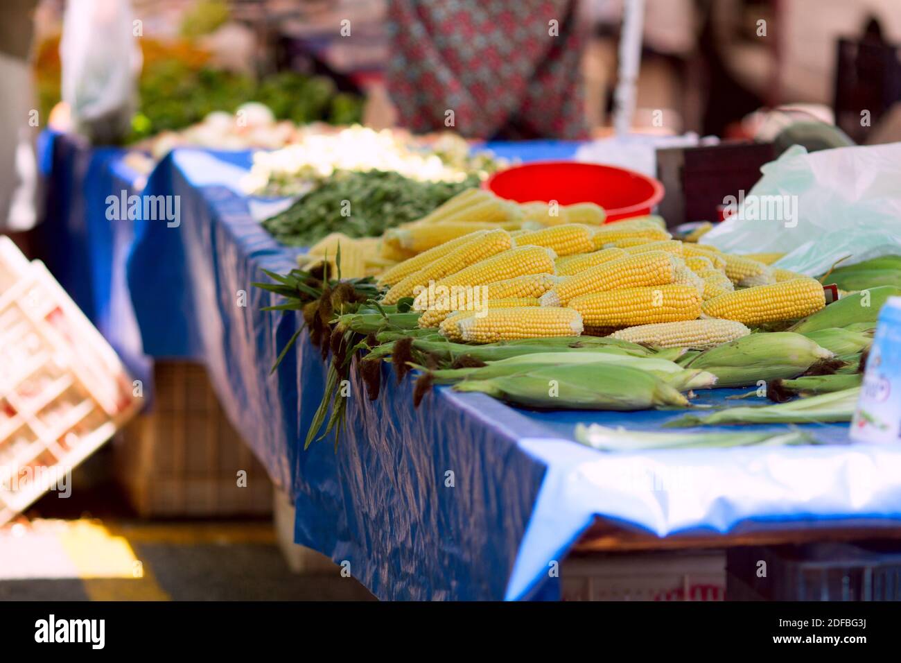 Corn on display at farmer's market outdoors on summer day Stock Photo ...