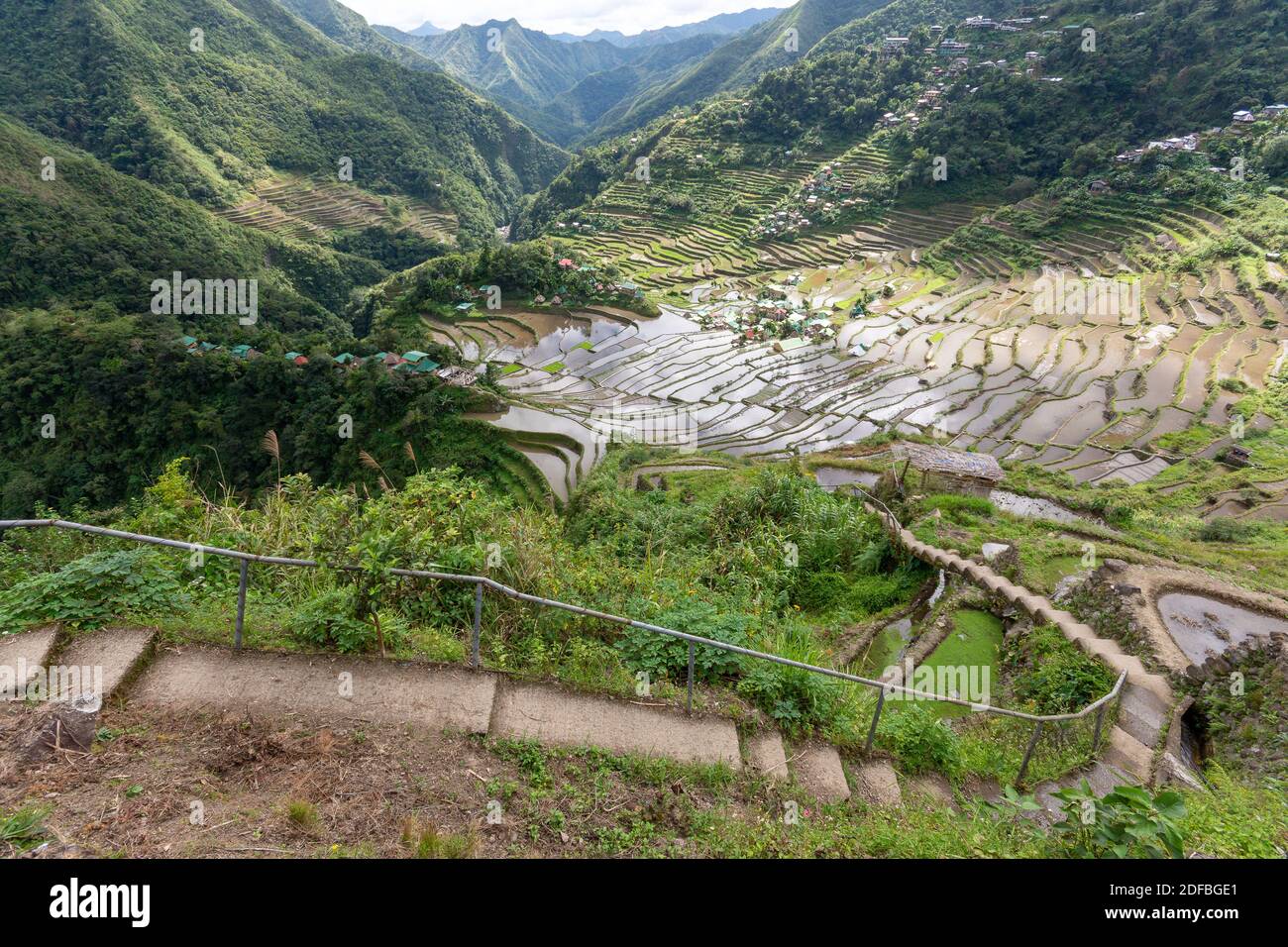 Stairs leading to the bottom of the rice terraces in Batad Stock Photo ...