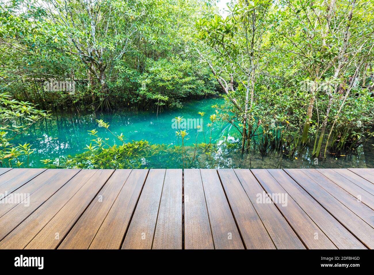 Wooden bridge byside on the Tropical tree roots canal, Nature ...