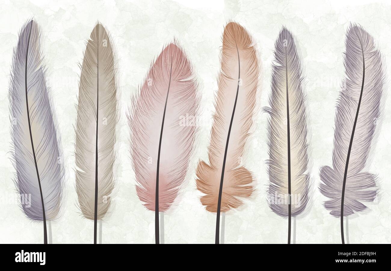 Feather element hi-res stock photography and images - Alamy