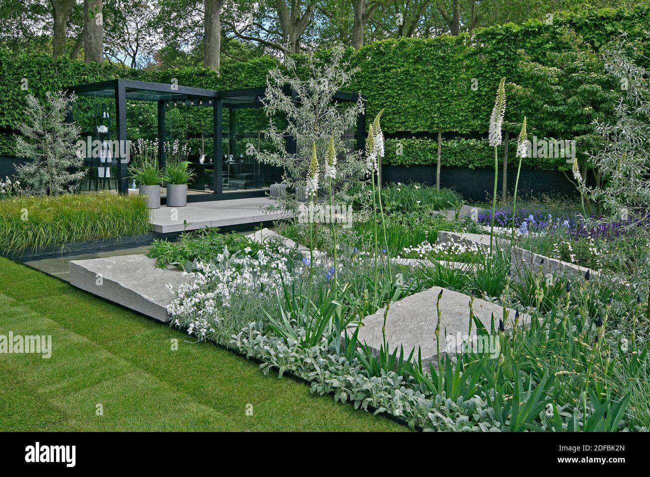 A cool modern garden with some Scandinavian style and soft planting ...