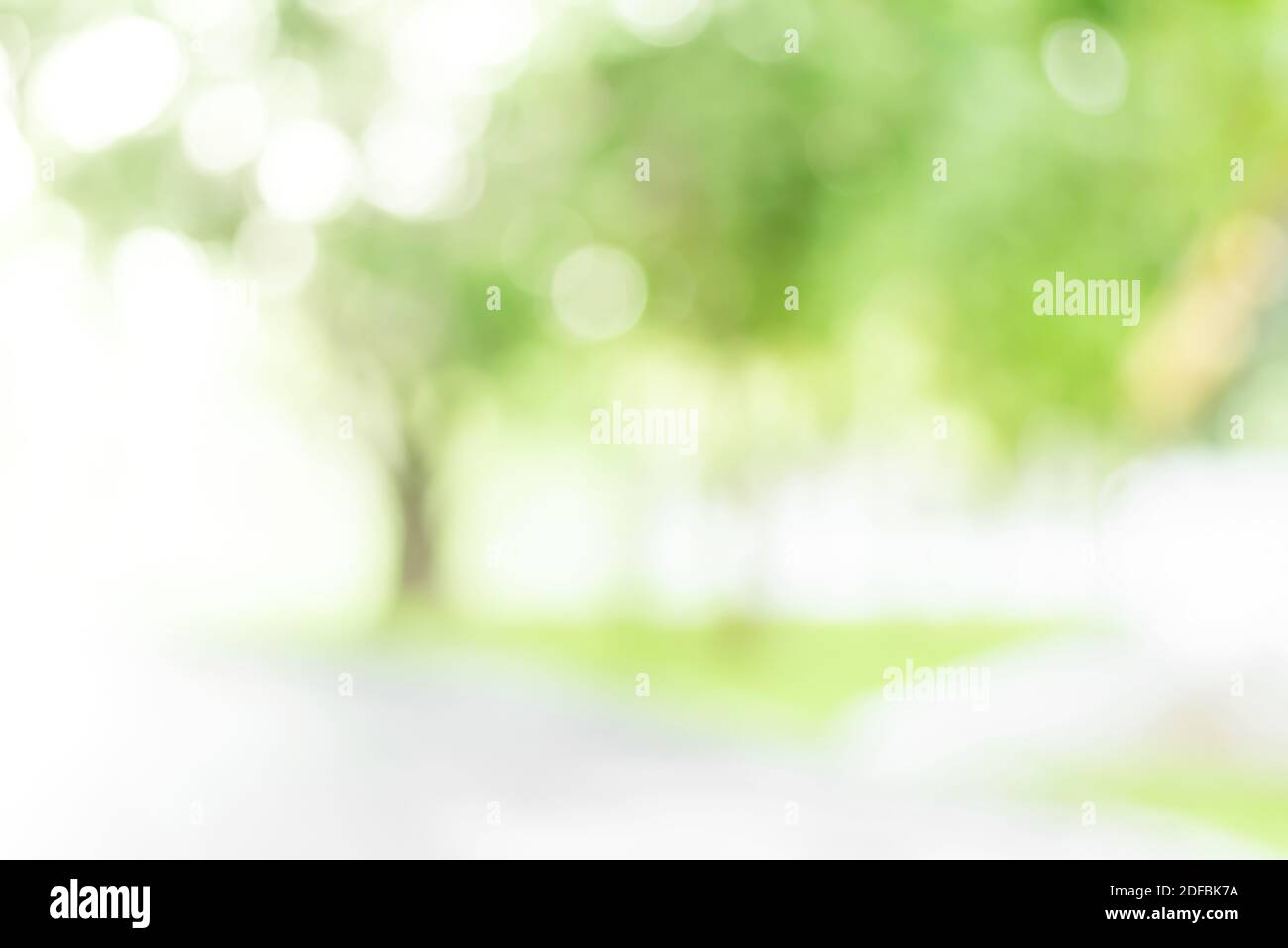 Abstract background with trees hi-res stock photography and images - Alamy