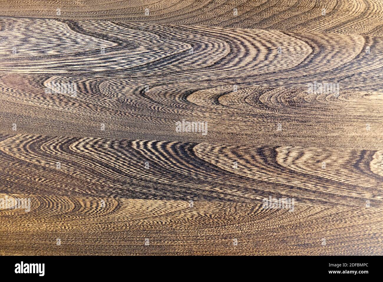 Wood texture. Elm wood texture. Elm wood edge glued panel close-up ...
