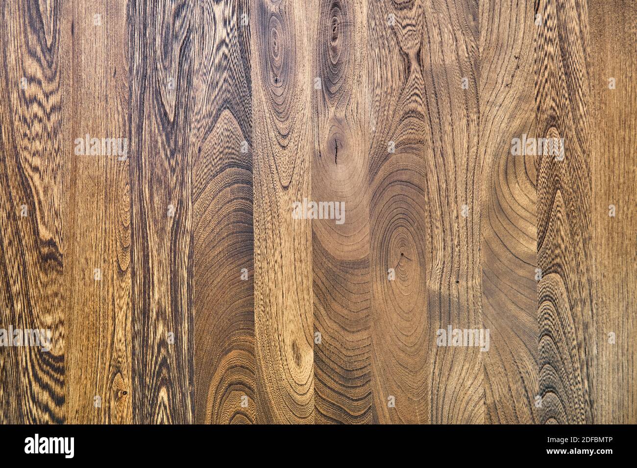 Wood texture. Elm wood texture. Elm wood edge glued panel close-up ...