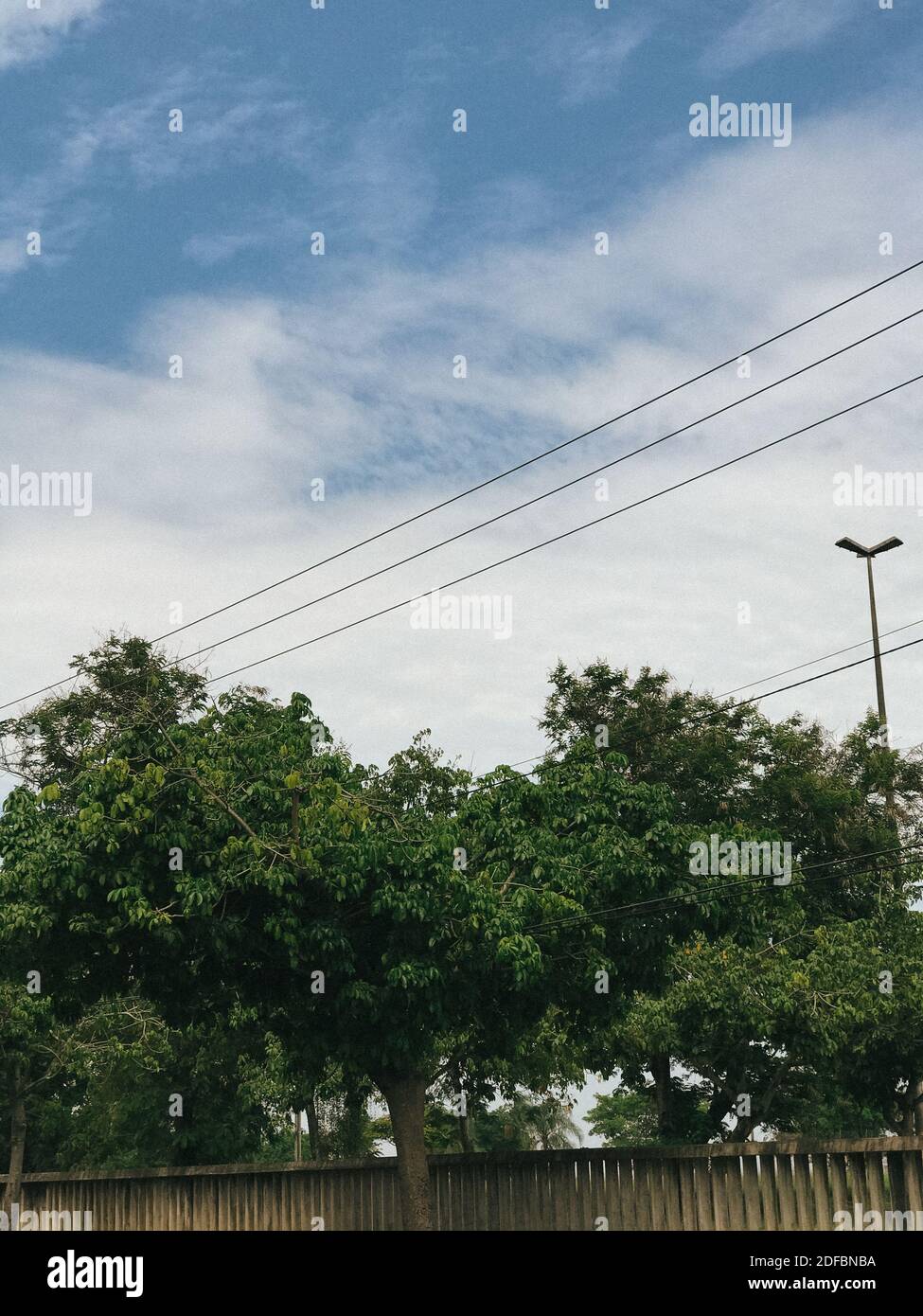 Trees power lines on street hi-res stock photography and images - Alamy