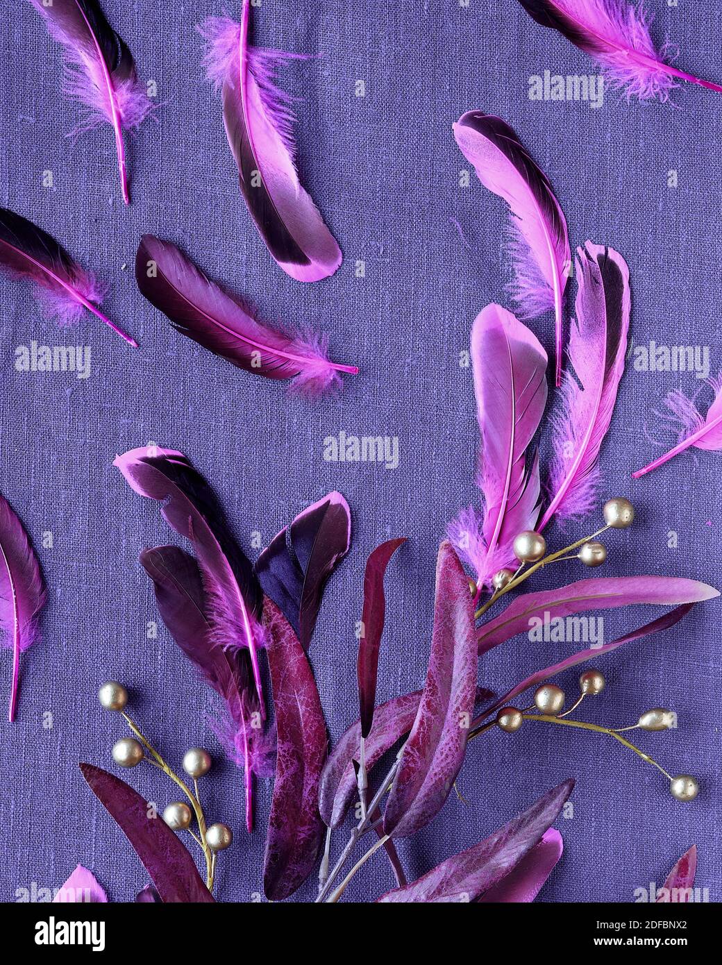 Purple feathers hi-res stock photography and images - Alamy