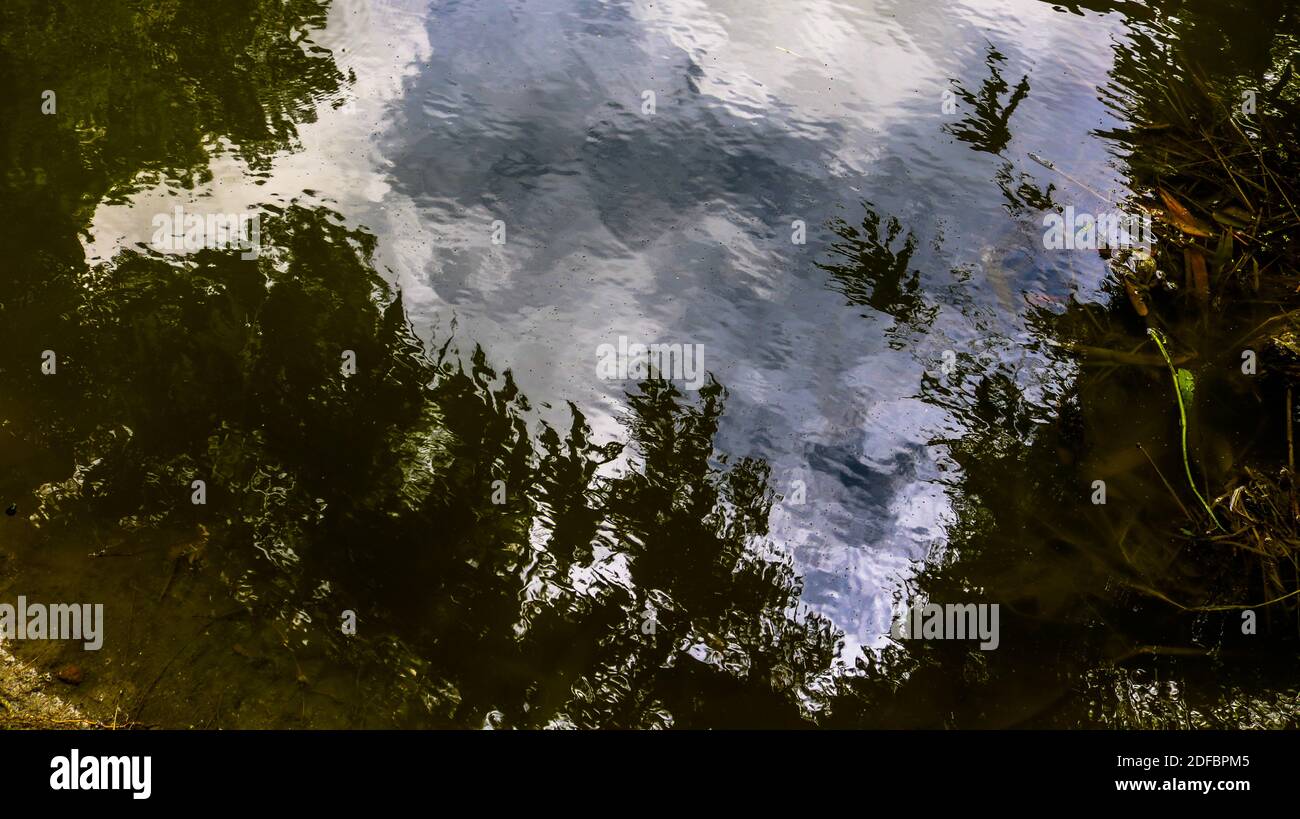 The green shadows of the sky and nature falling into the water have ...