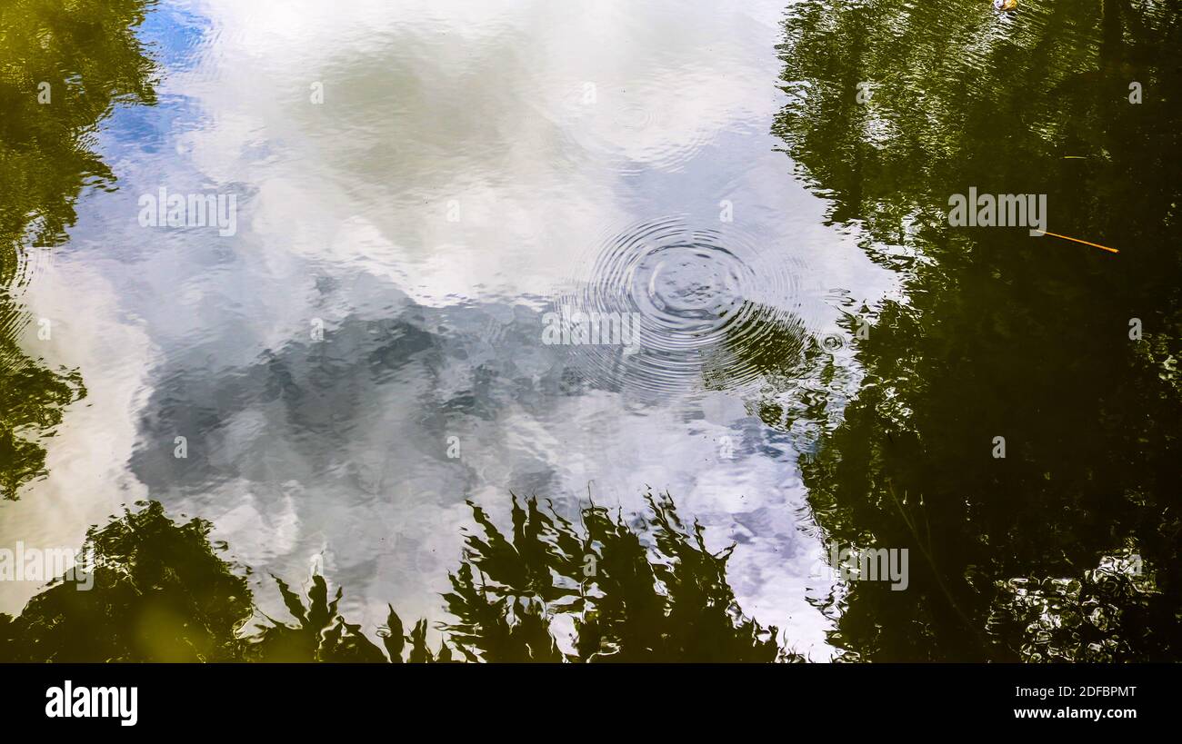 The green shadows of the sky and nature falling into the water have ...