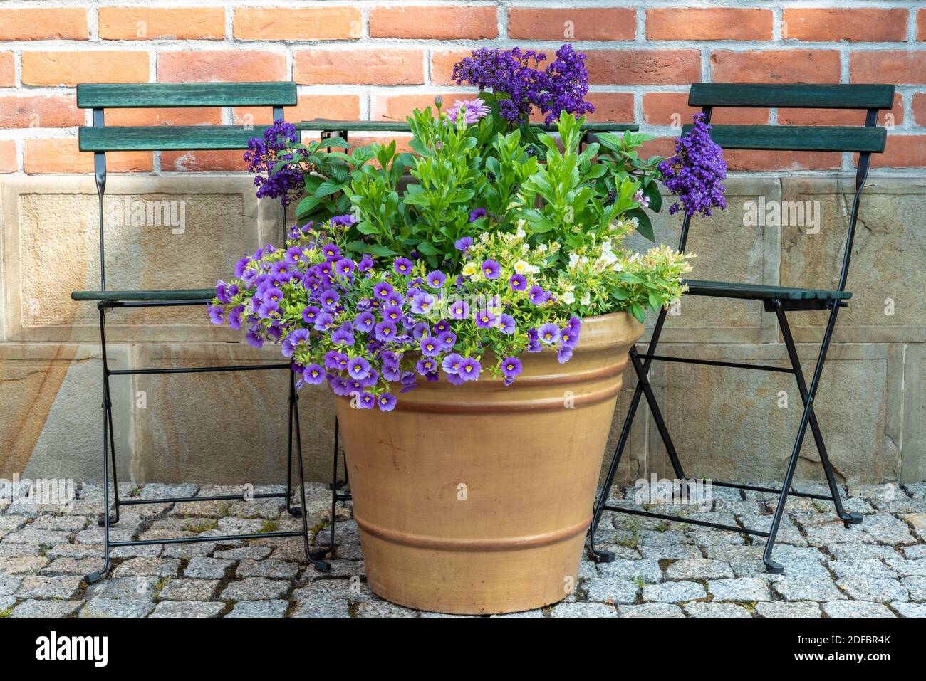Terrace with table, chair and blooming flowers Stock Photo - Alamy