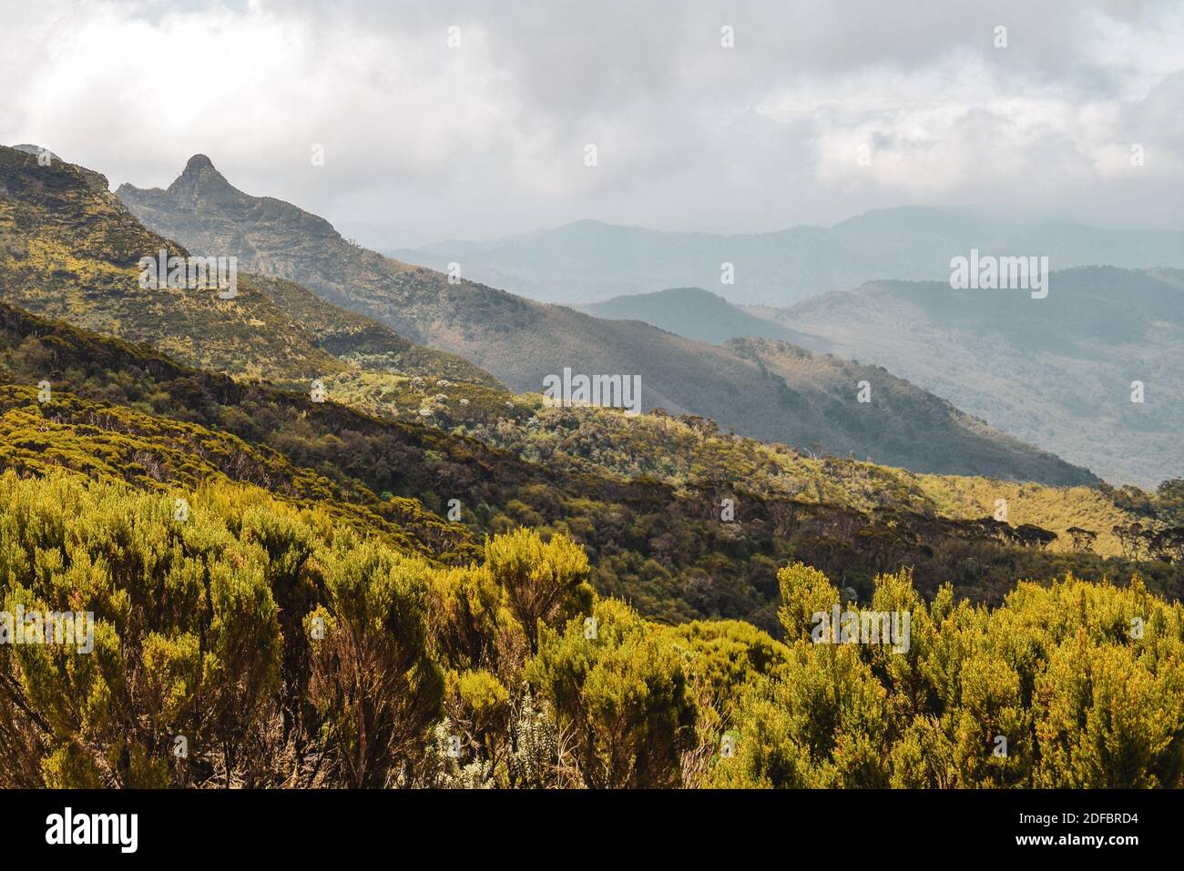 Scenic mountain landscapes in Aberdare Ranges, Kenya Stock Photo - Alamy