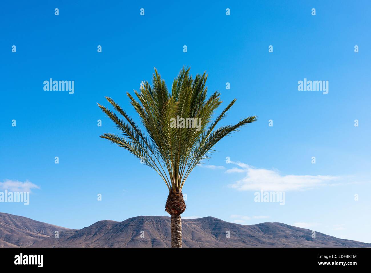 Desert landscape and volcano Pico Relondo unique view, Playa Blanca ...