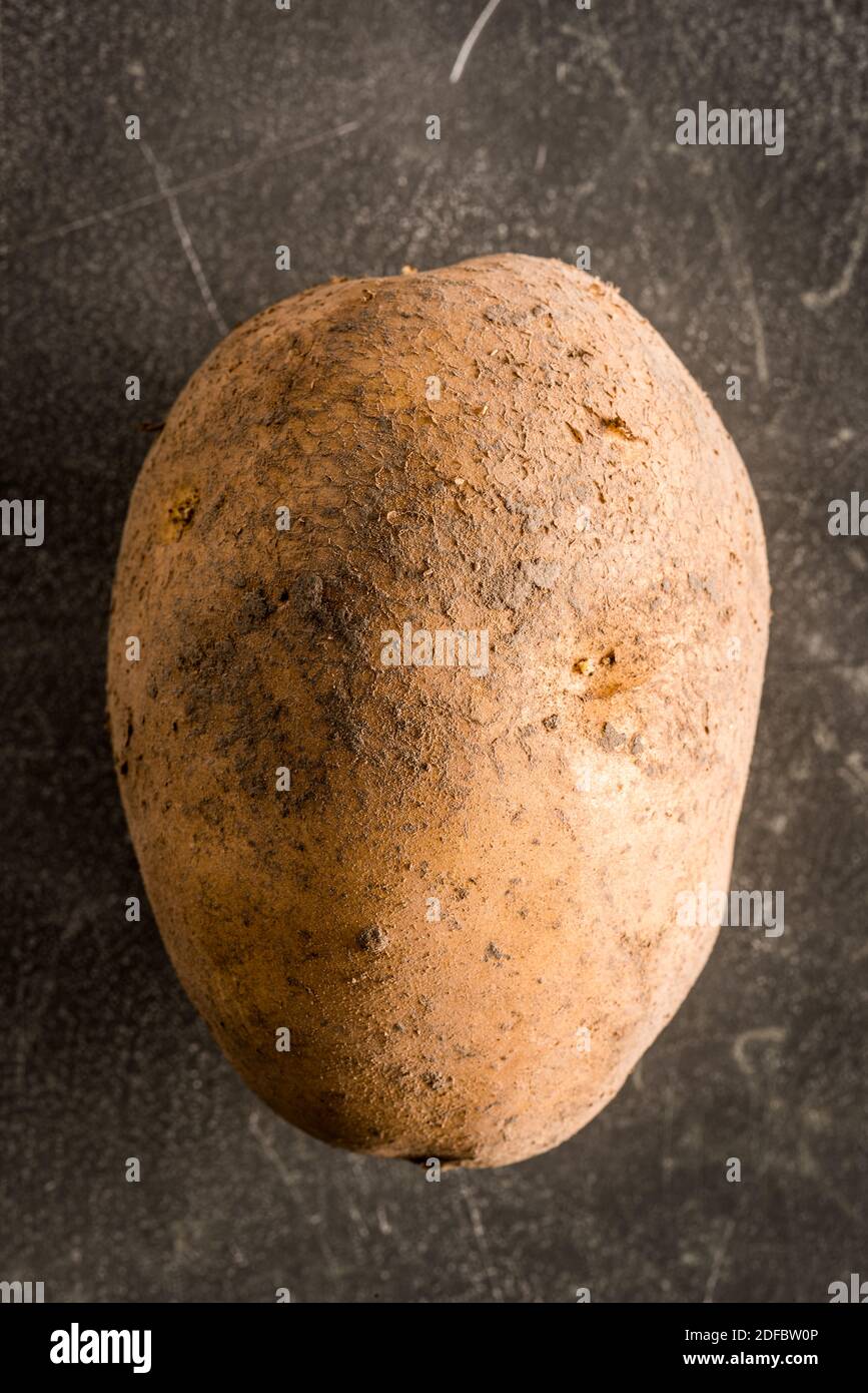 Agriculture raw potato hi-res stock photography and images - Alamy