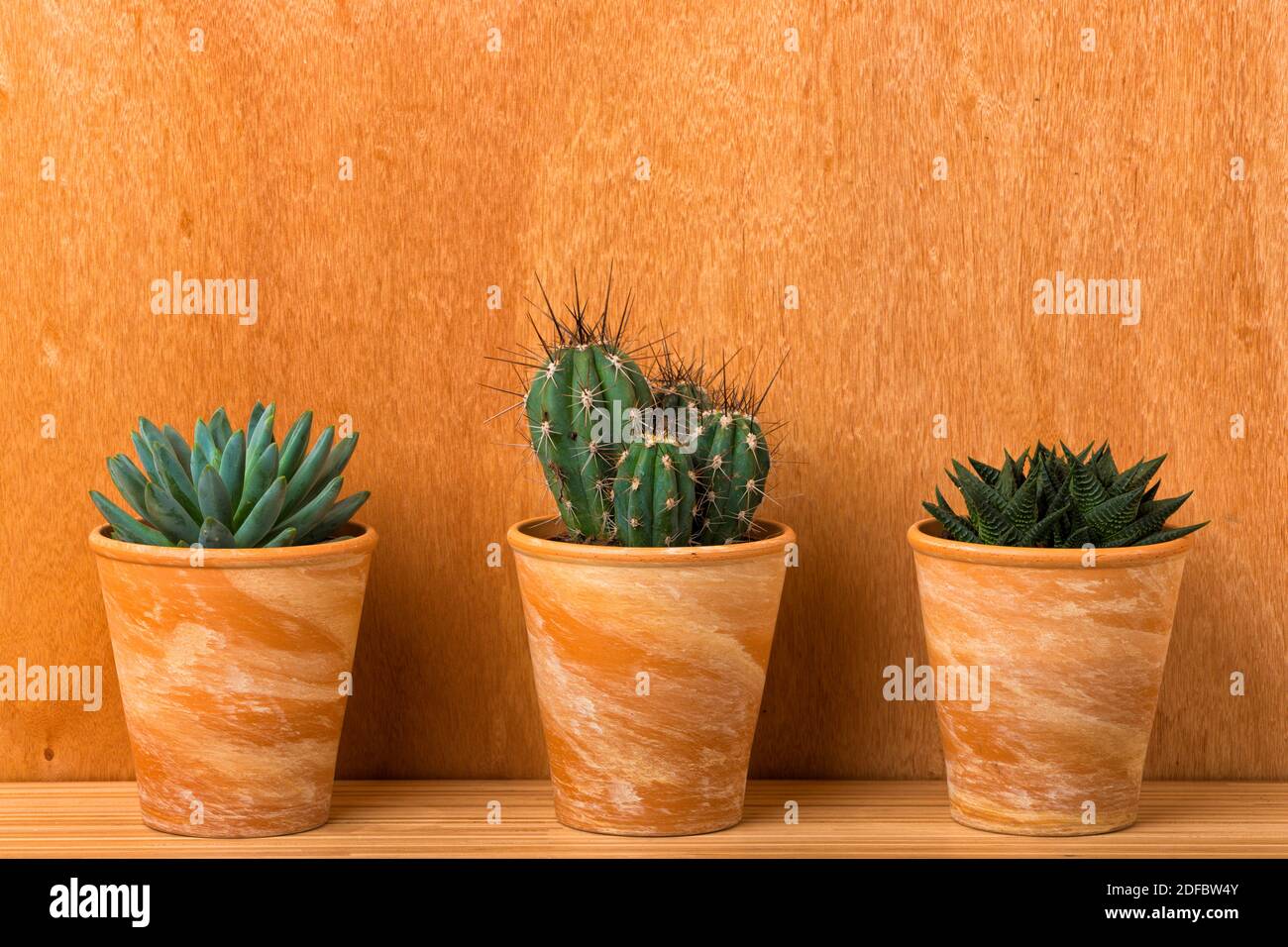 Terra cotta flower pot hi-res stock photography and images - Alamy