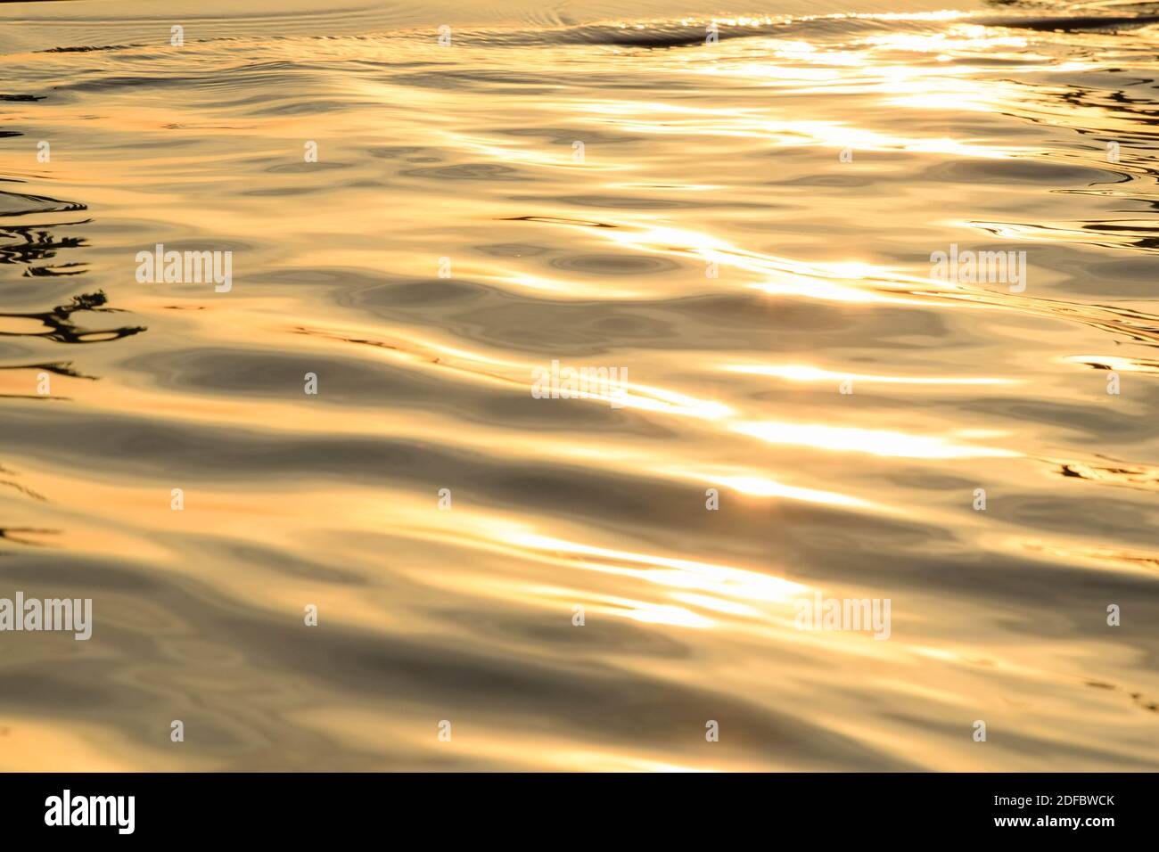 The light of the sun on the water ripple surface golden color. For the ...