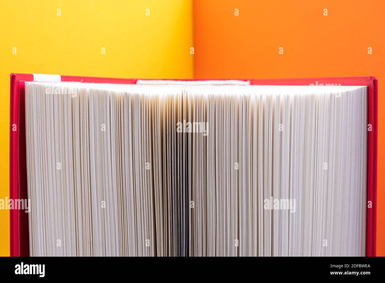 Pages of open book close-up Stock Photo - Alamy