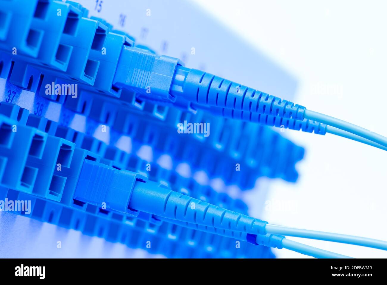 Fiber Optic Distribution Frame Hardware Technology Stock Photo - Alamy