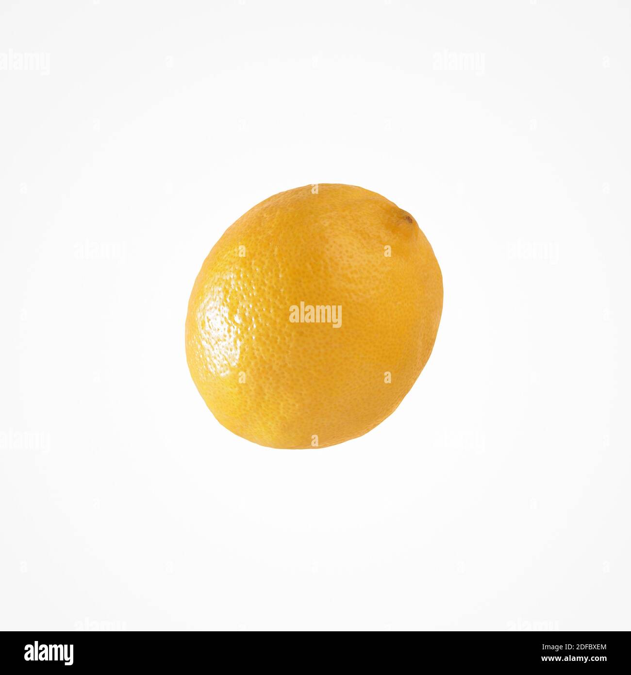 Fruit citrus composition. Healthy vibrant single lemon isolat on blank ...