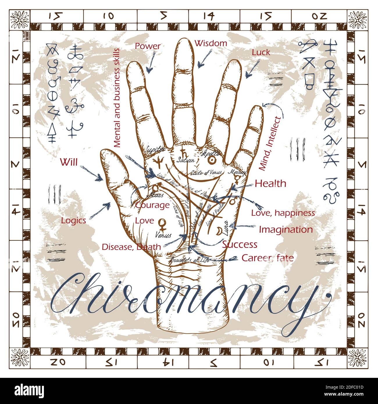 Vintage chiromancy chart with hands, palms, fingers and lines. Sketch graphic illustration with ...