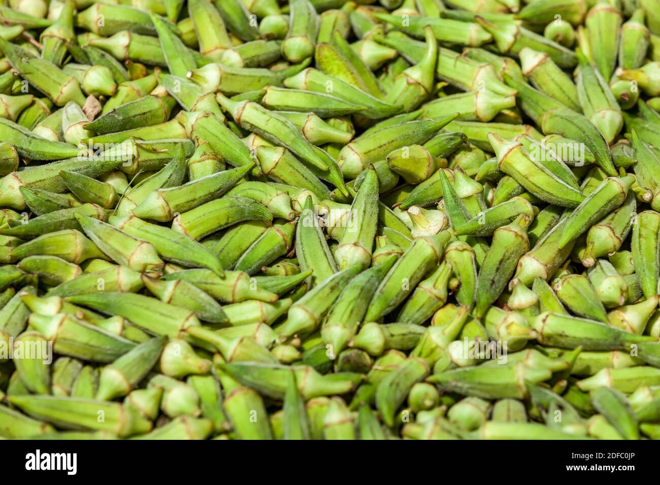 Raw Green Organic Okra (lady finger) Vegetables Stock Photo - Alamy