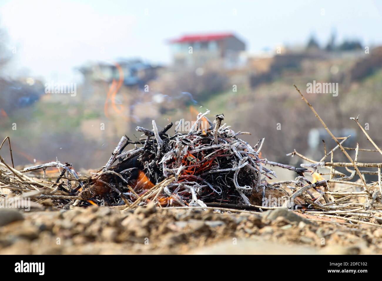 Fire in nature Stock Photo - Alamy