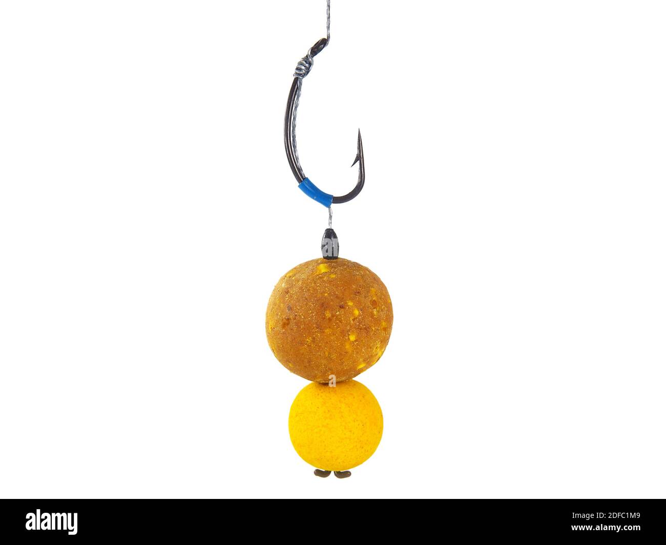 Snowman fishing rig for carps, boilie rig Stock Photo - Alamy