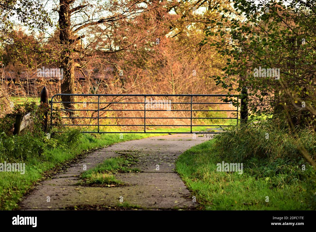 Pasture gate blocks a small concrete road Stock Photo - Alamy