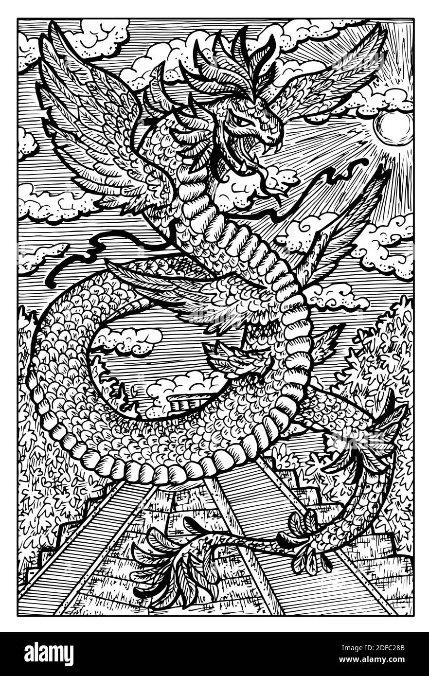 Dragon. Engraved black and white Fantasy illustration with mythological ...