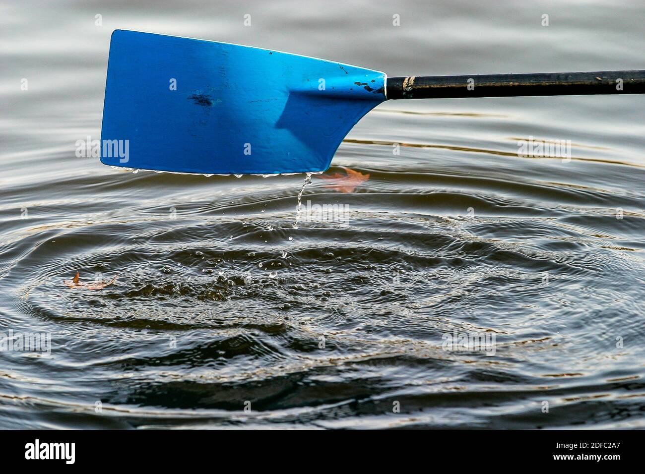 A blue paddle of a boat - rowing sport Stock Photo - Alamy
