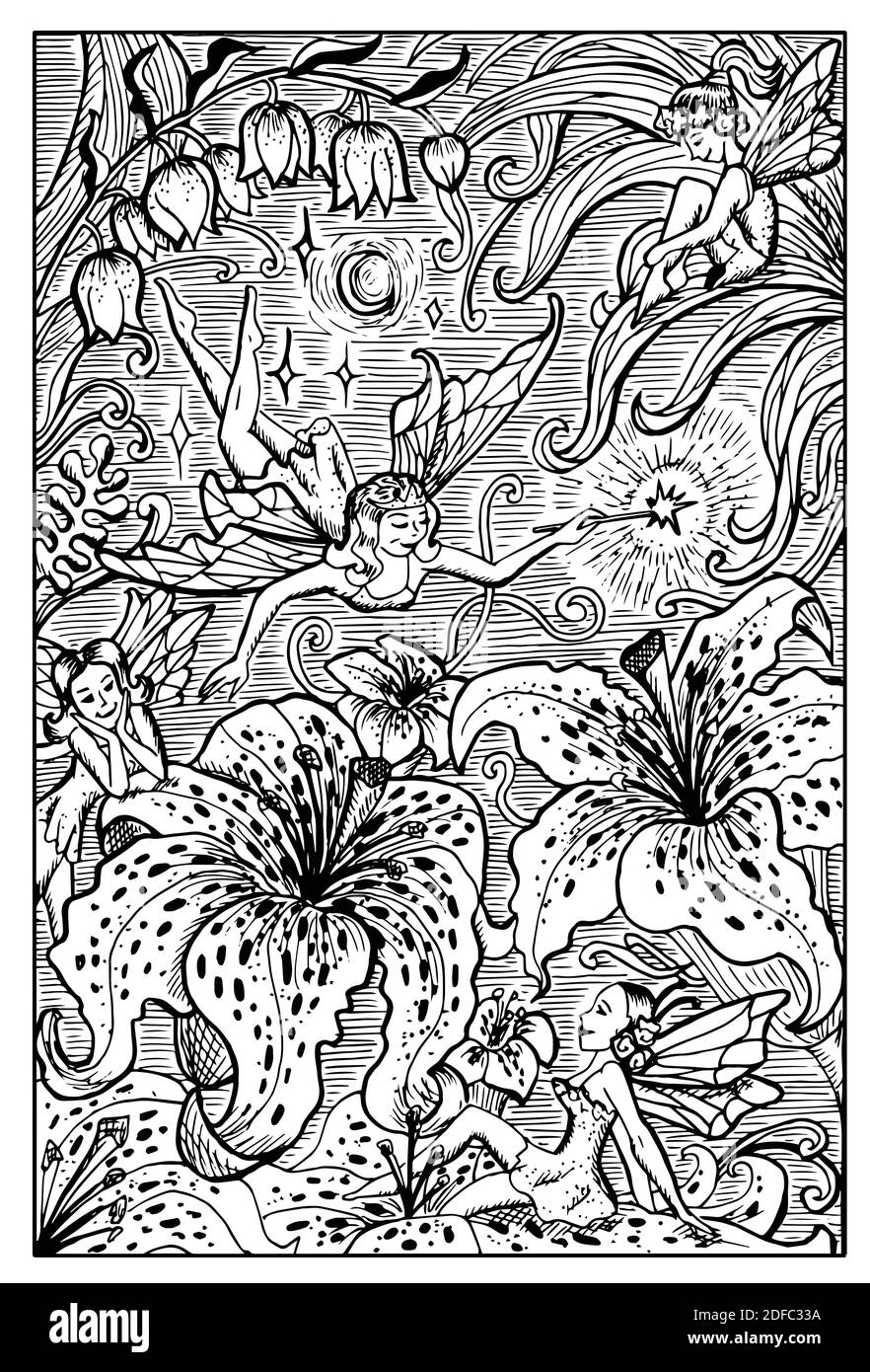 Fairy. Engraved black and white Fantasy illustration with mythological ...