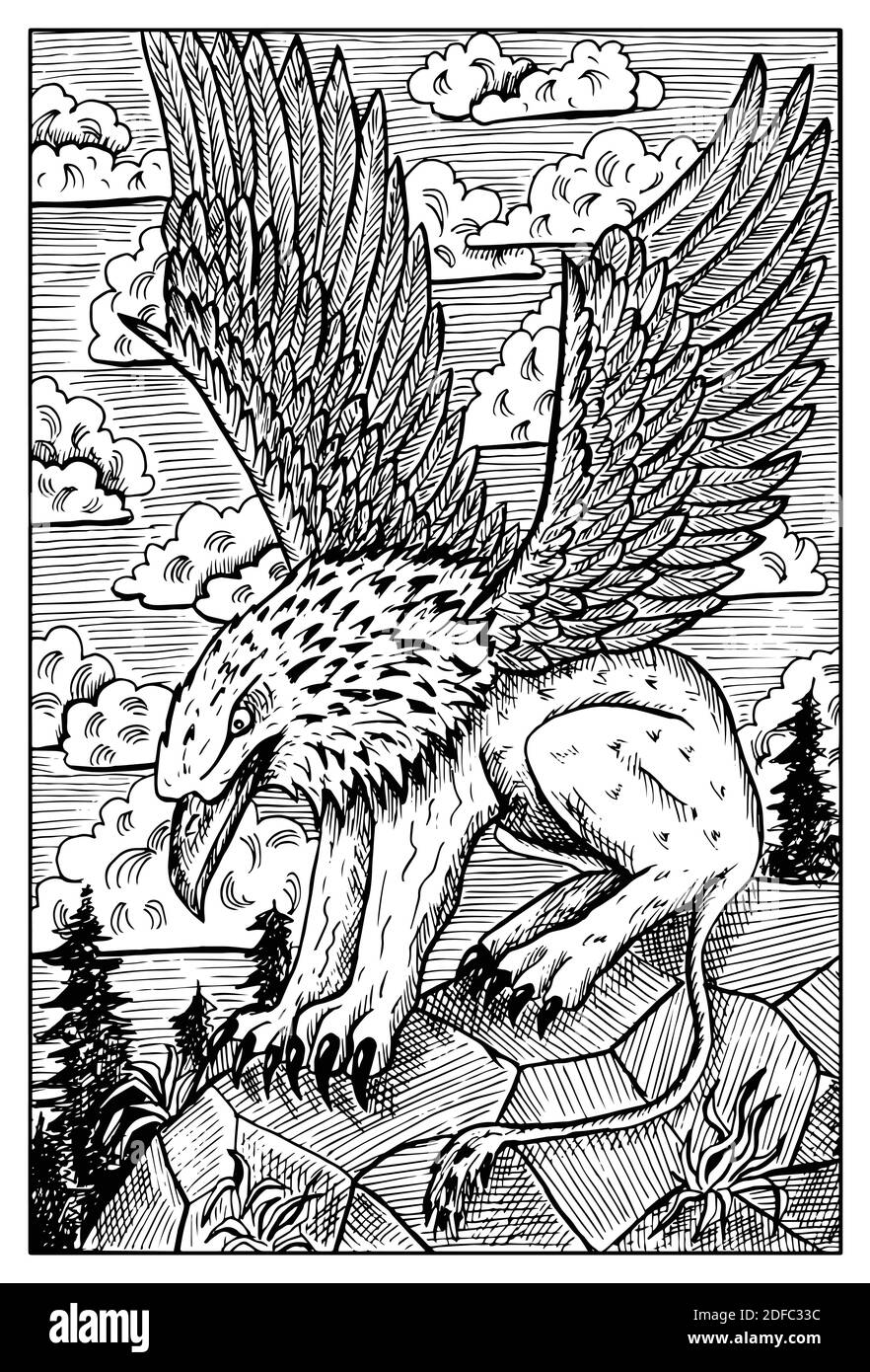 Gryphon beast. Engraved black and white Fantasy illustration with ...